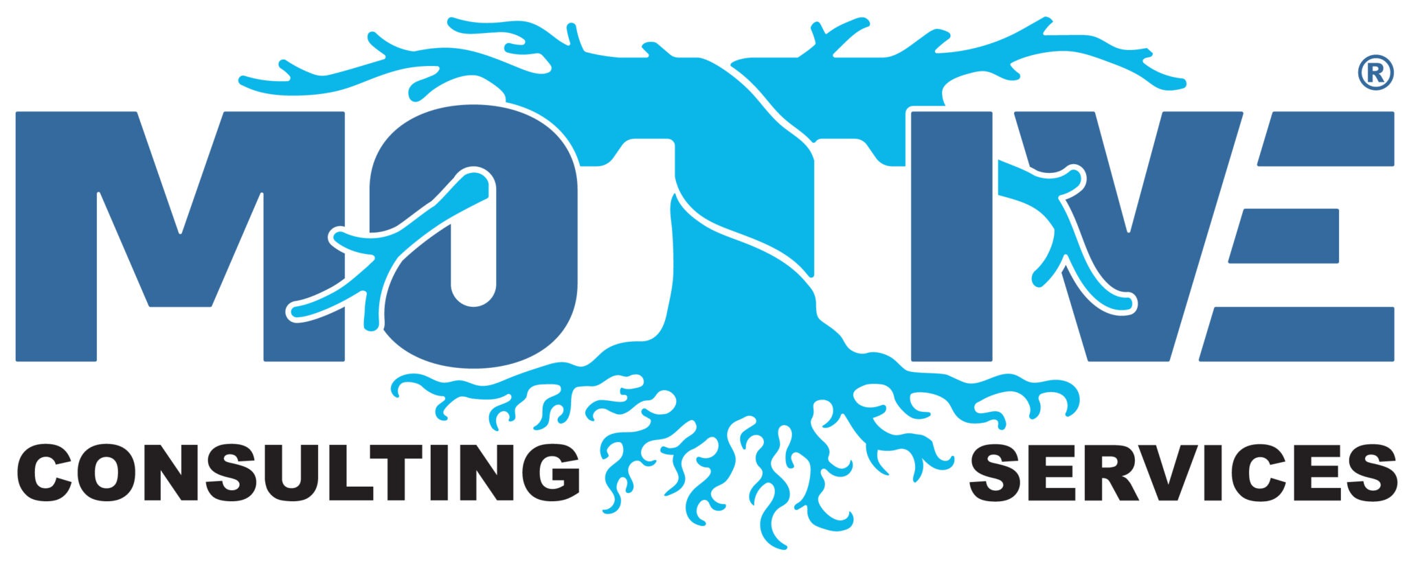 Motive_Logo_RGB_300res - NEMRA